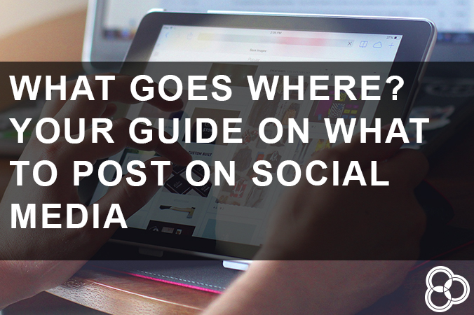 What Goes Where? Social Media Post Guide | Customer Paradigm